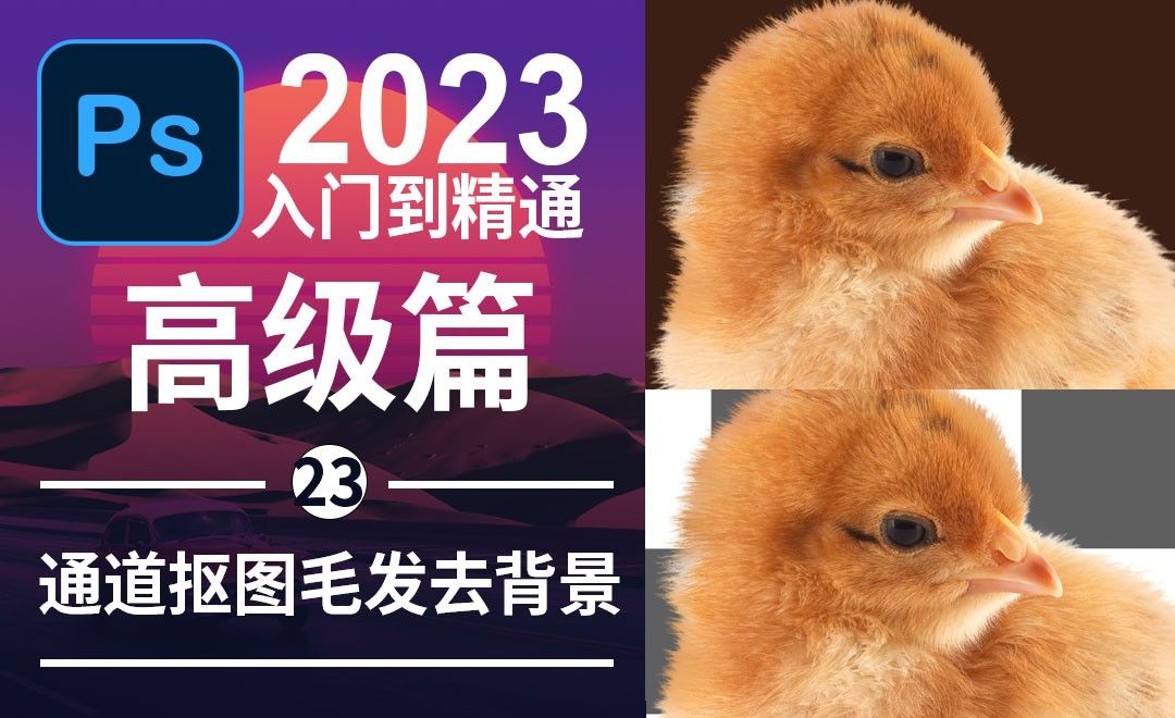 Photoshop2023通道抠图毛发去除背景 软件入门教程 Ps(2023) 虎课网