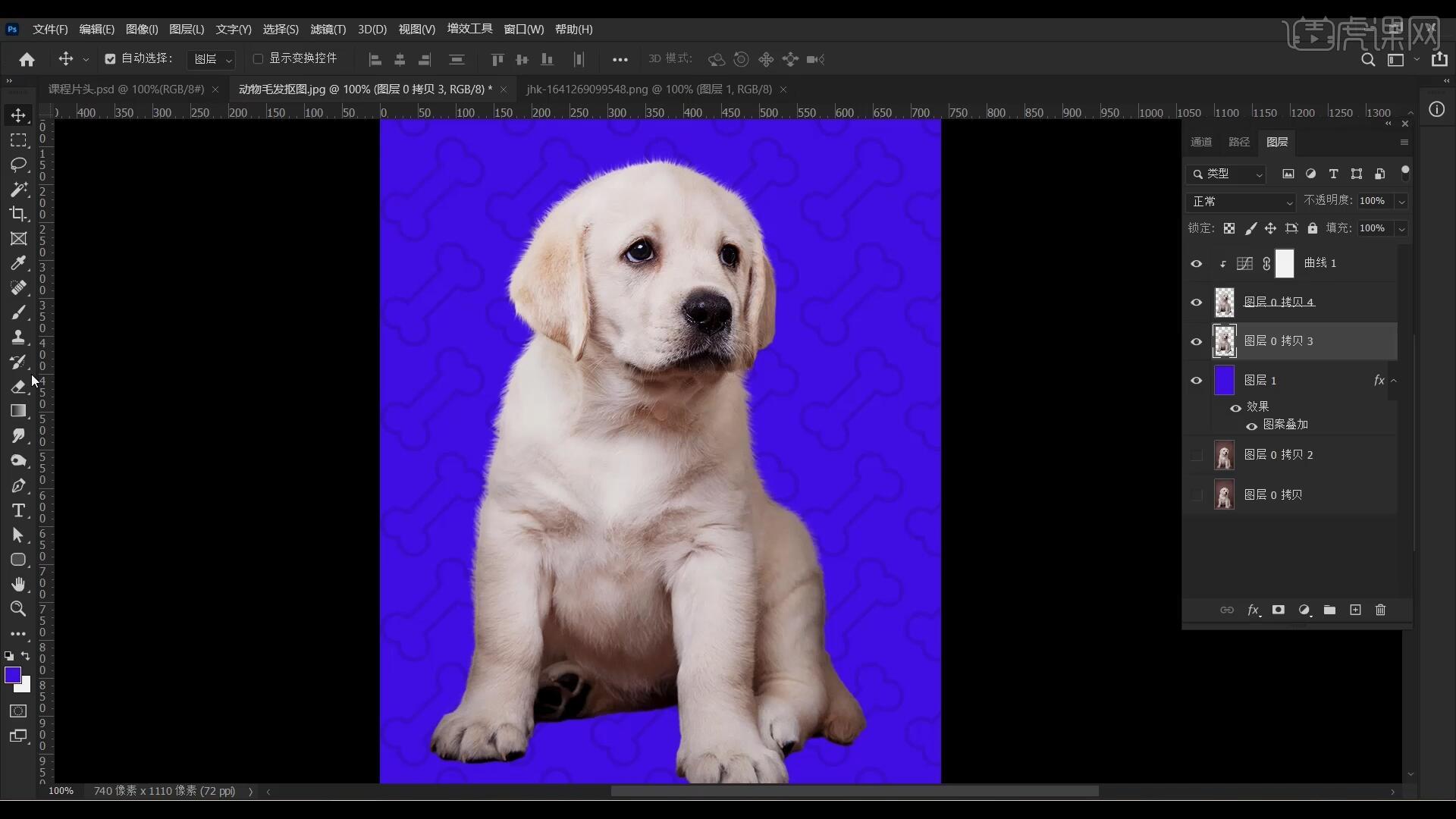 PS-动物毛发抠图技巧-零基础电商设计入门图文教程- 虎课网