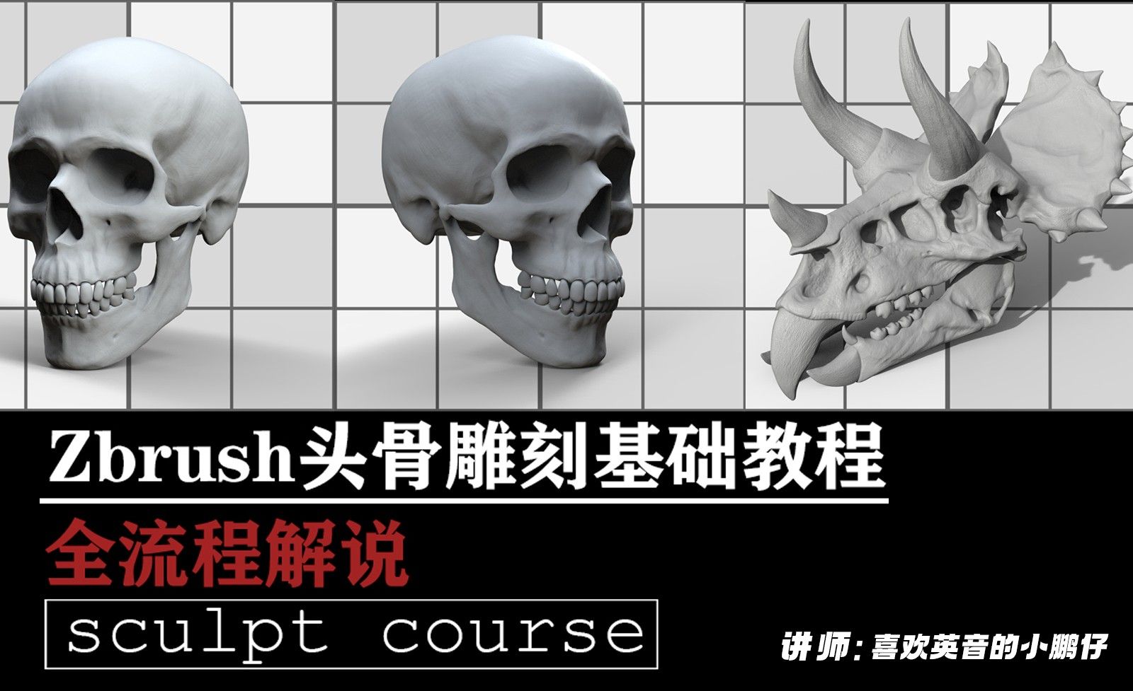 第三节人类头骨雕刻教程起形 - 3D数字教程_zbrush - 虎课网